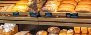 Bread: How Much Should You Eat as a Bodybuilder? - Thomson Scientific